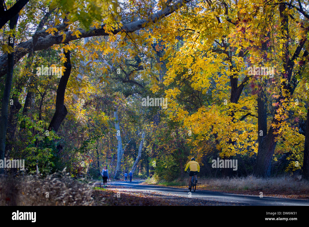 Chico Fall Autumn High Resolution Stock Photography and Images - Alamy