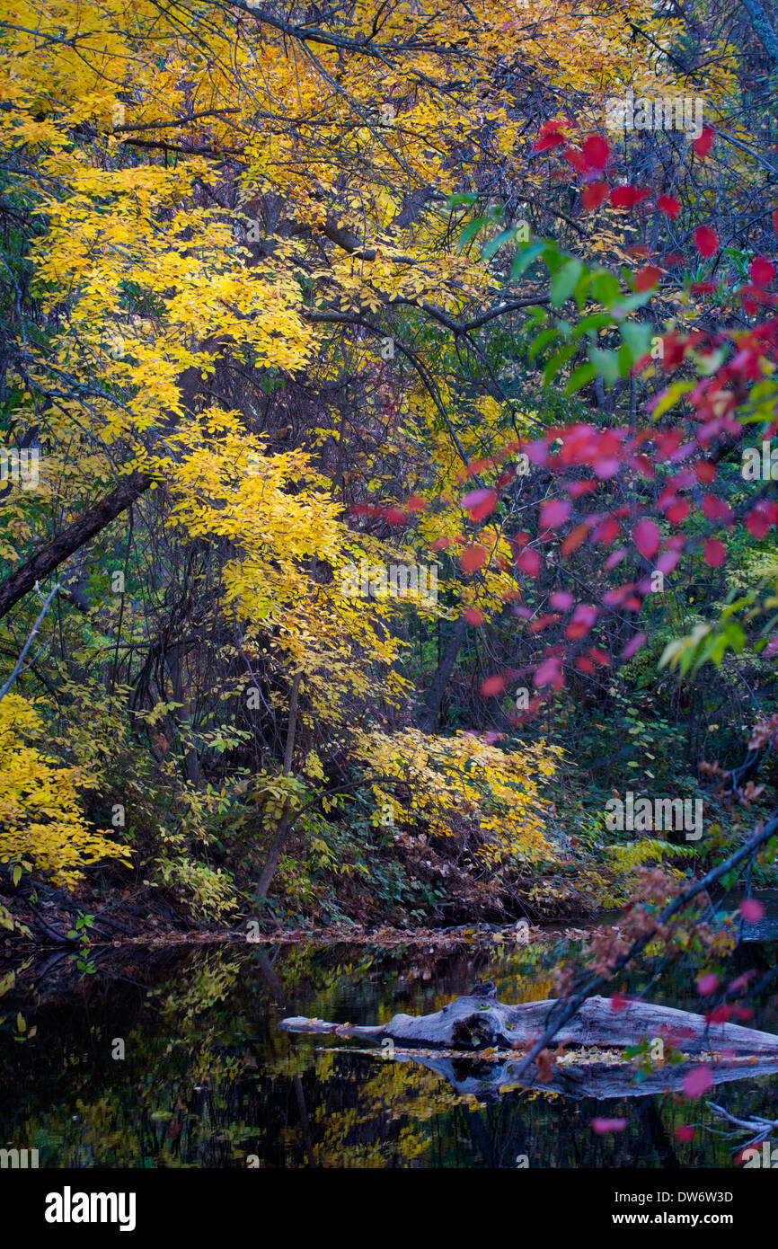 Chico california hi-res stock photography and images - Alamy