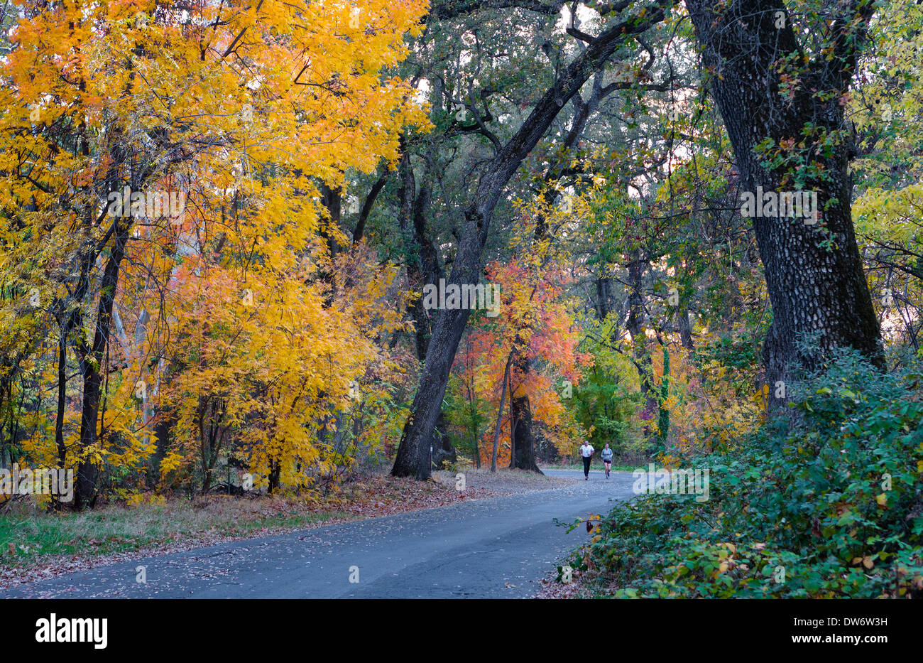 Chico california city hi-res stock photography and images - Alamy