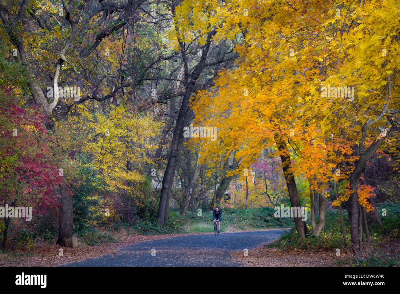 Chico california city hi-res stock photography and images - Alamy