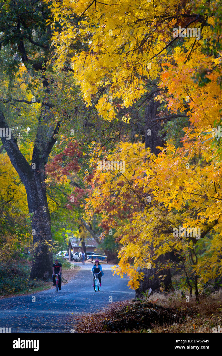 Fall colors explode in Bidwell Park in Chico, California Stock Photo ...