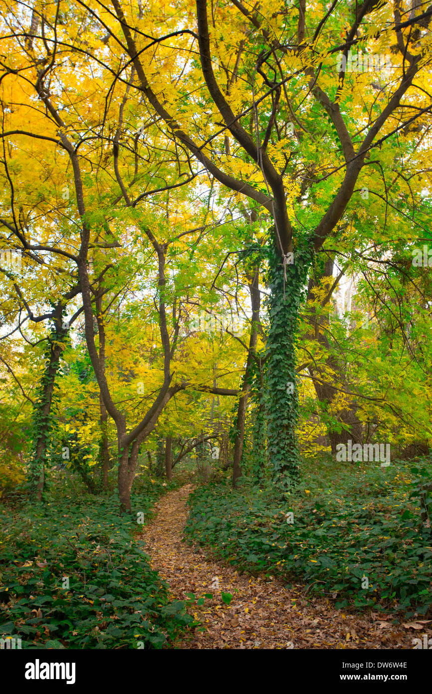 Chico california city hi-res stock photography and images - Alamy