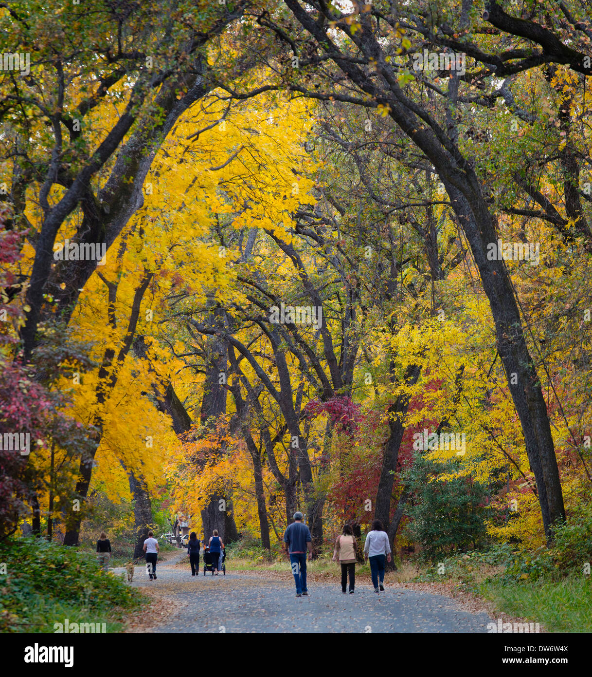 Chico california city hi-res stock photography and images - Alamy