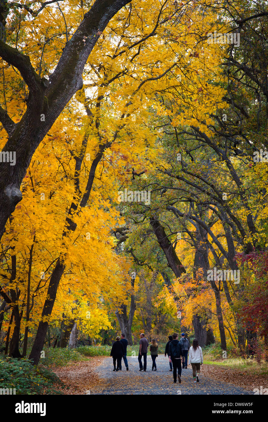 Chico california city hi-res stock photography and images - Alamy