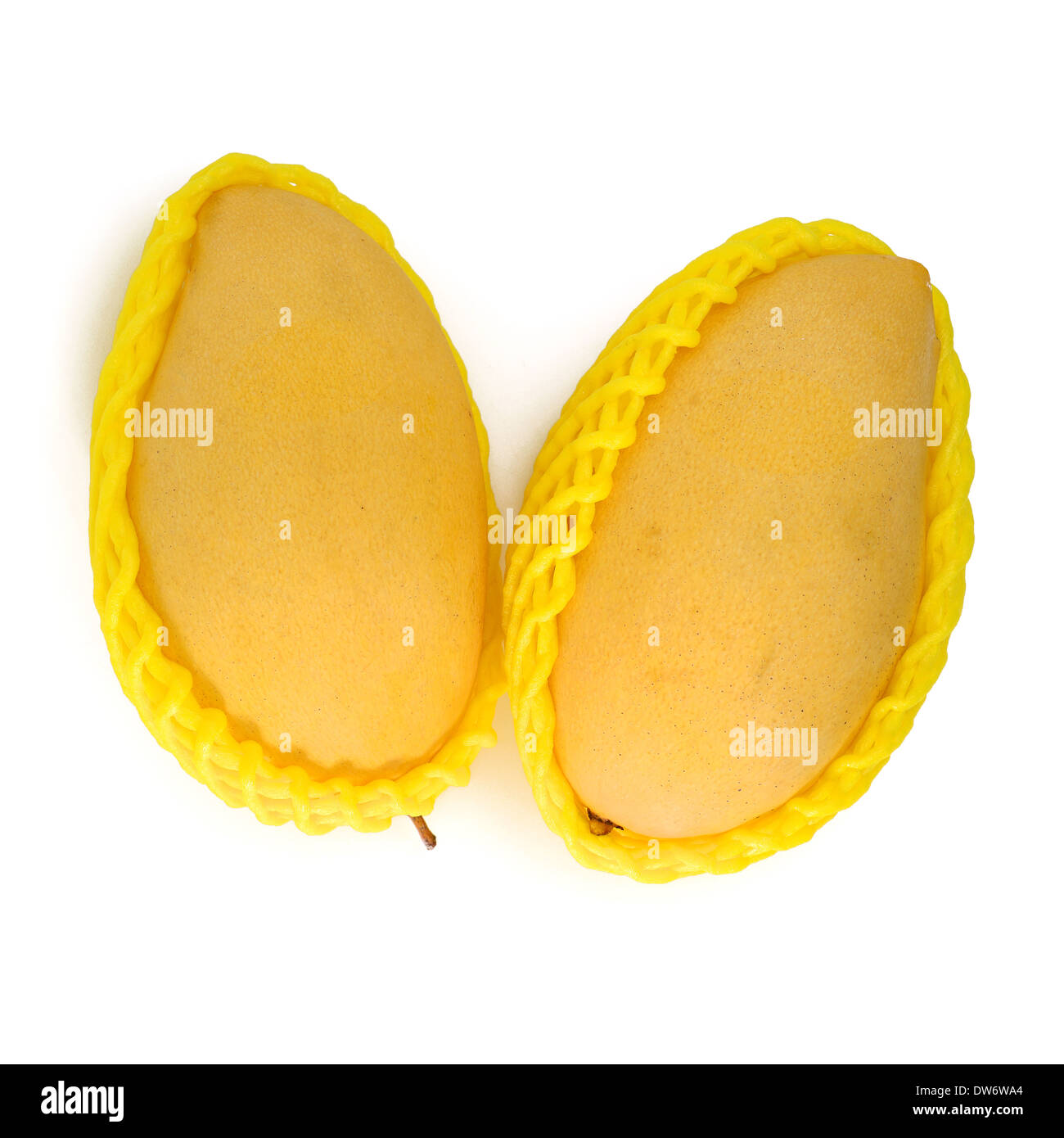 Shockproof hi-res stock photography and images - Alamy