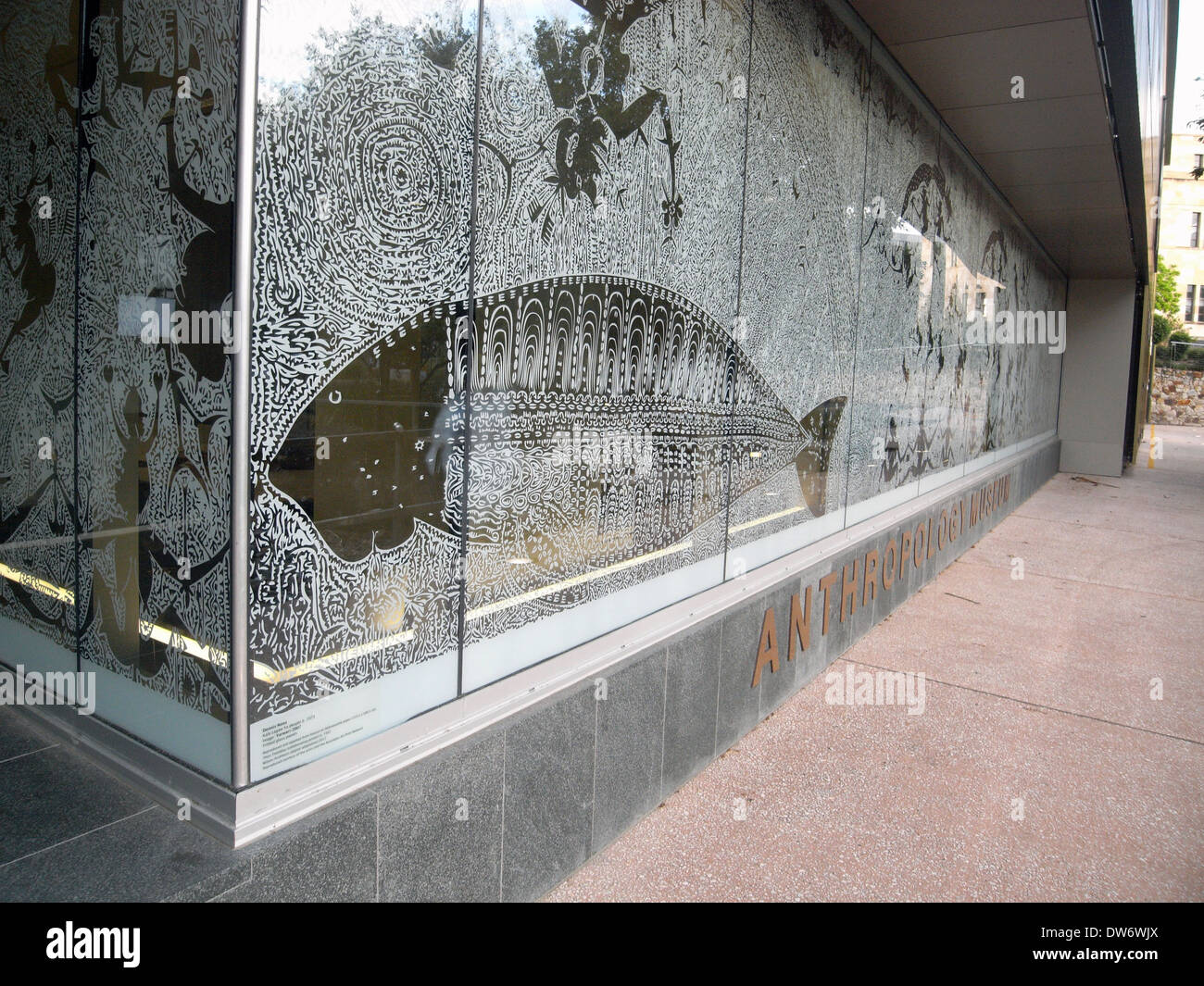 Torres Strait Islander art by Dennis Nona, including dugongs, Michie ...