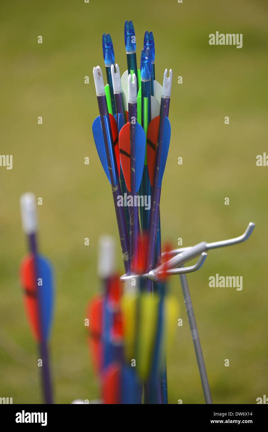 Arrows in a stand Stock Photo - Alamy