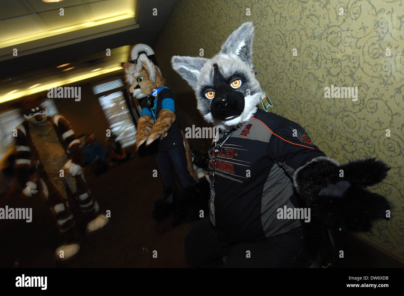Vancouver. 1st Mar, 2014. A participant is seen at the annual VancouFur ...