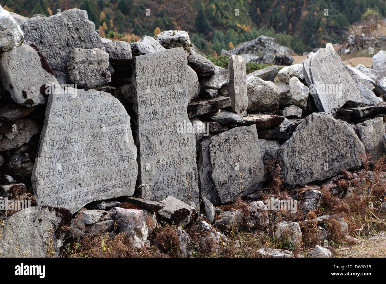 Mani stone wall buddhism nepal hi-res stock photography and images - Alamy