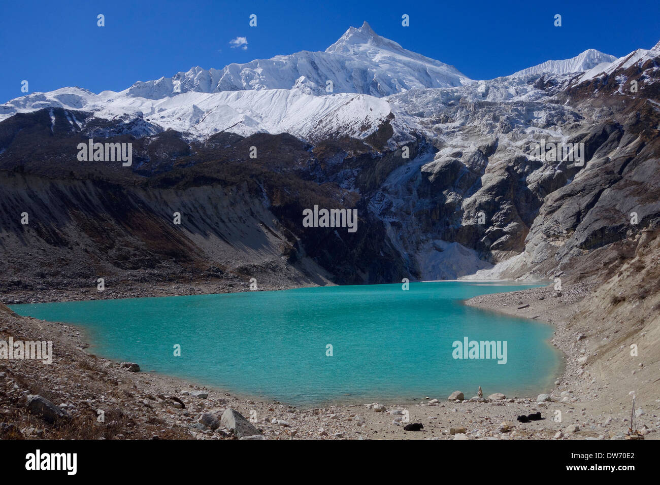 Birendra Tal (Lake Birendra) and Manaslu peak, Nepal Stock Photo - Alamy