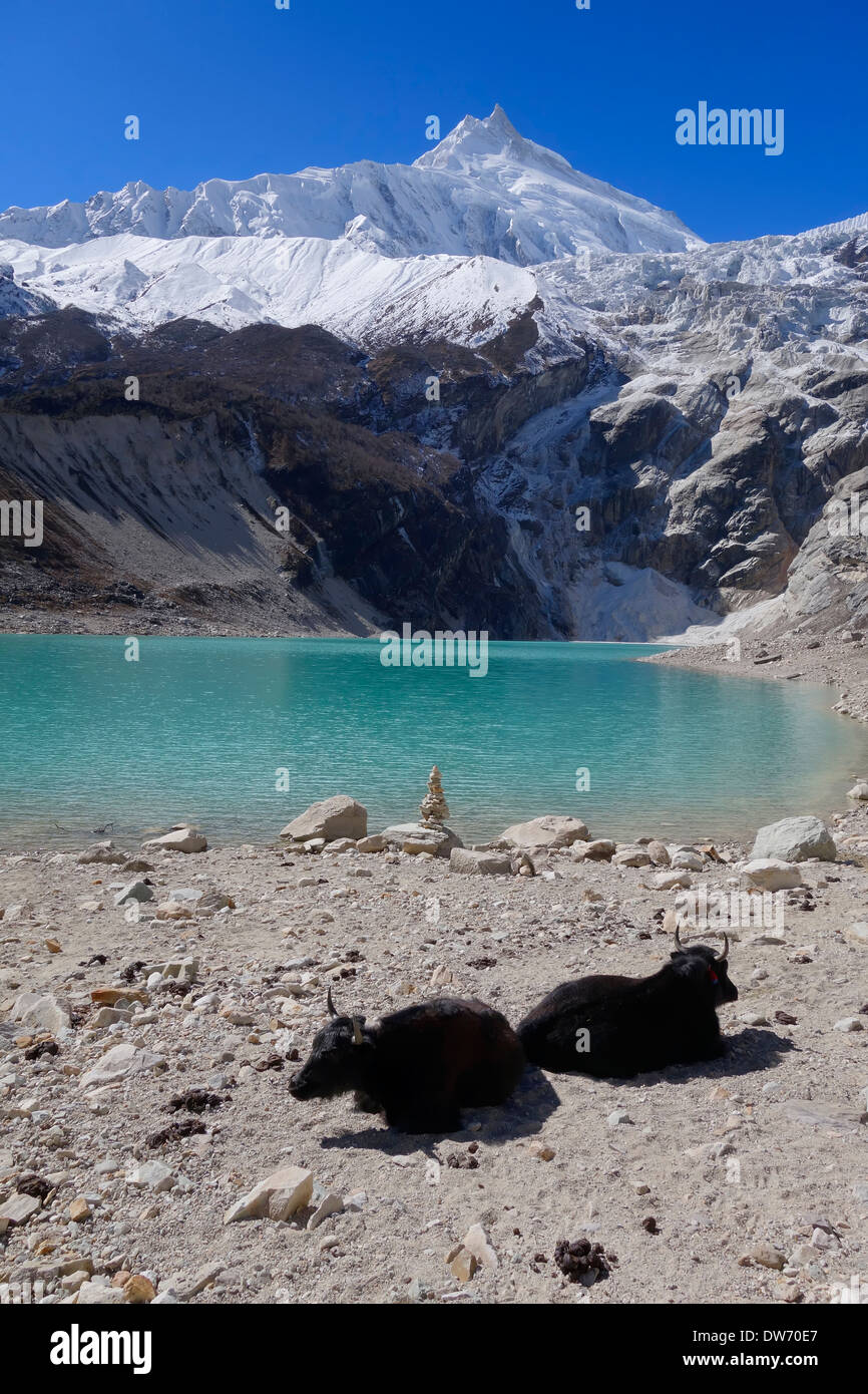 Birendra of nepal hi-res stock photography and images - Alamy