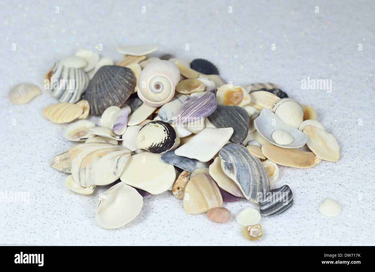 Sea Shells - Relaxing Escape 1 Stock Photo - Alamy