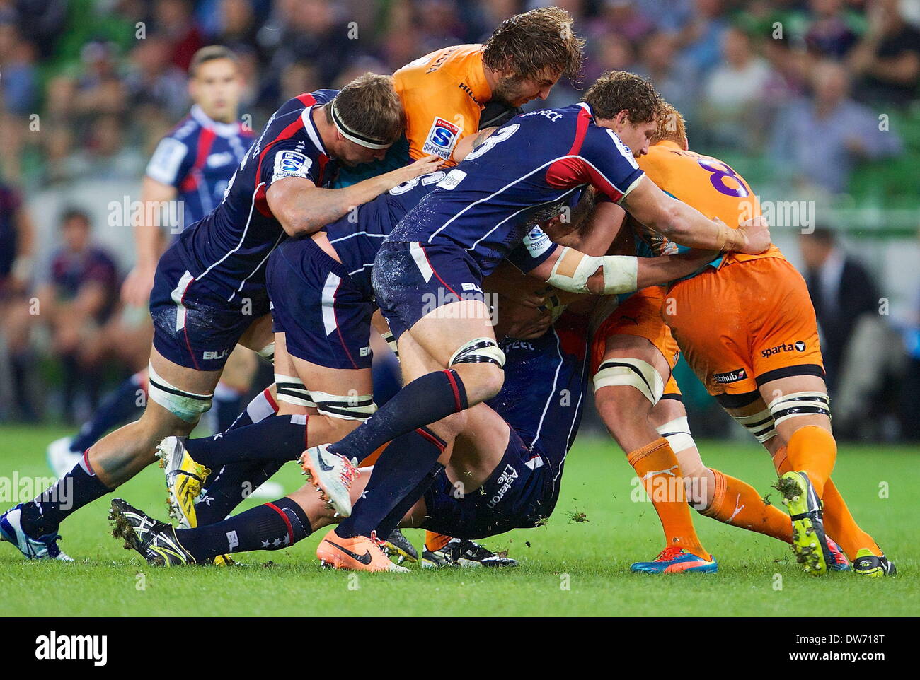 Toyota cheetahs hi-res stock photography and images - Alamy