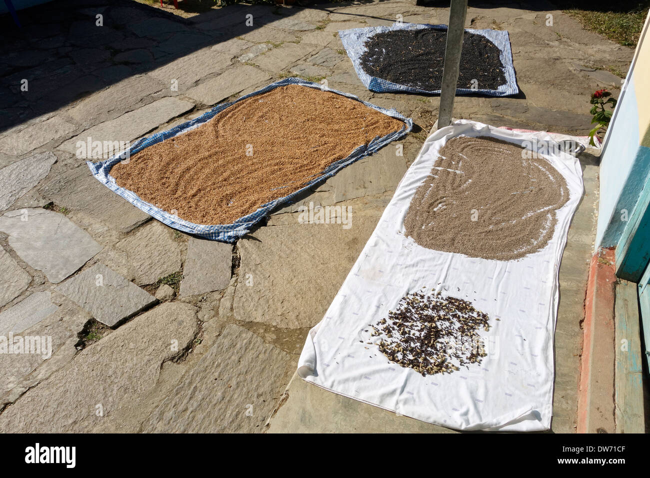 Spice for drying on terrace hi-res stock photography and images - Alamy