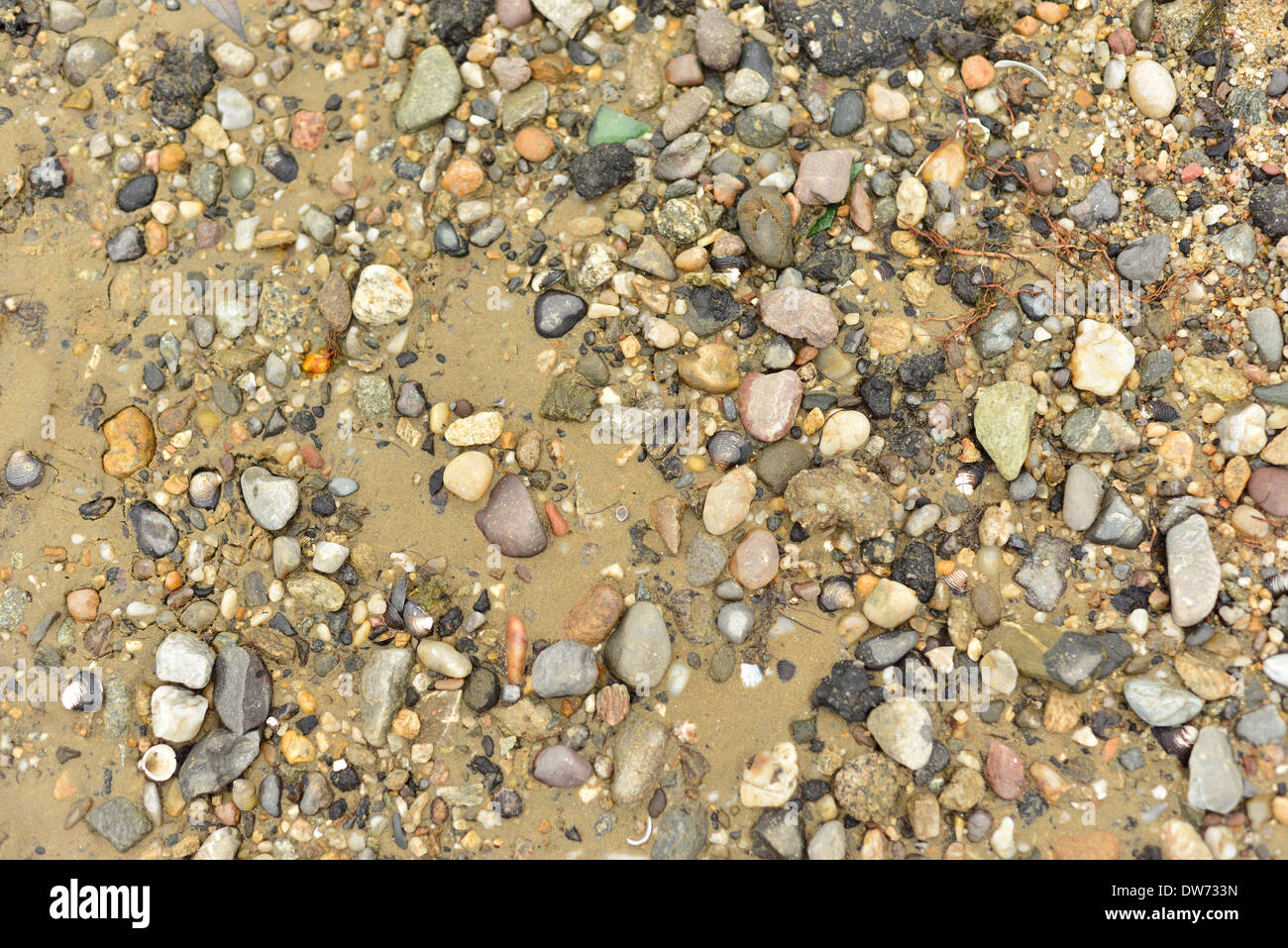 river shore texture with sand stones and shells Stock Photo - Alamy