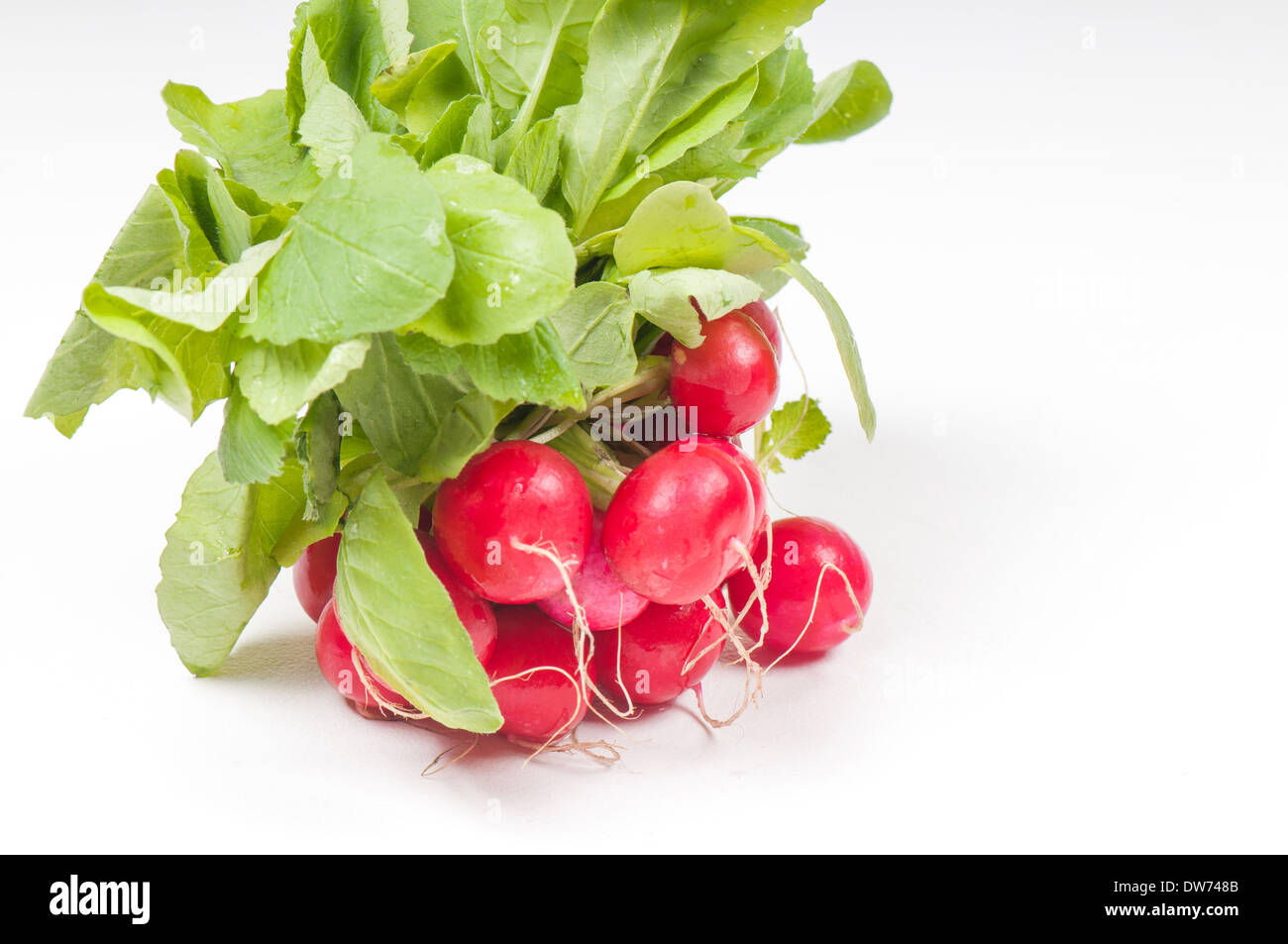 Bunch of fresh radish Stock Photo - Alamy