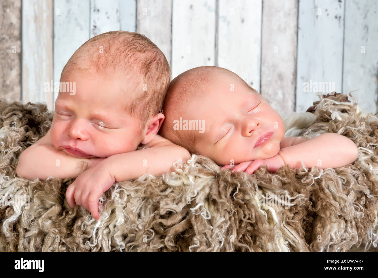 Ten days old newborn twin babies asleep together Stock Photo - Alamy