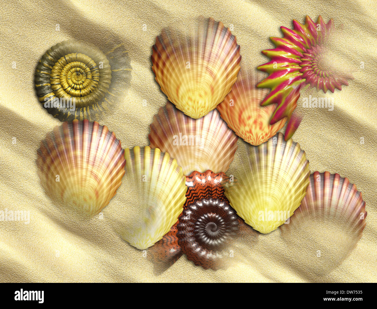 Various nautilus shells hi-res stock photography and images - Alamy