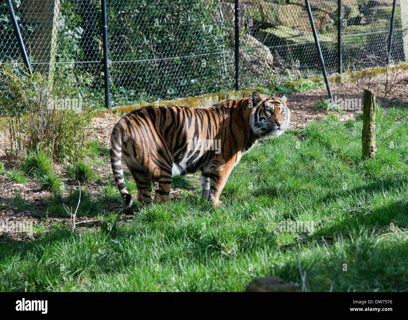Chessington hi-res stock photography and images - Alamy