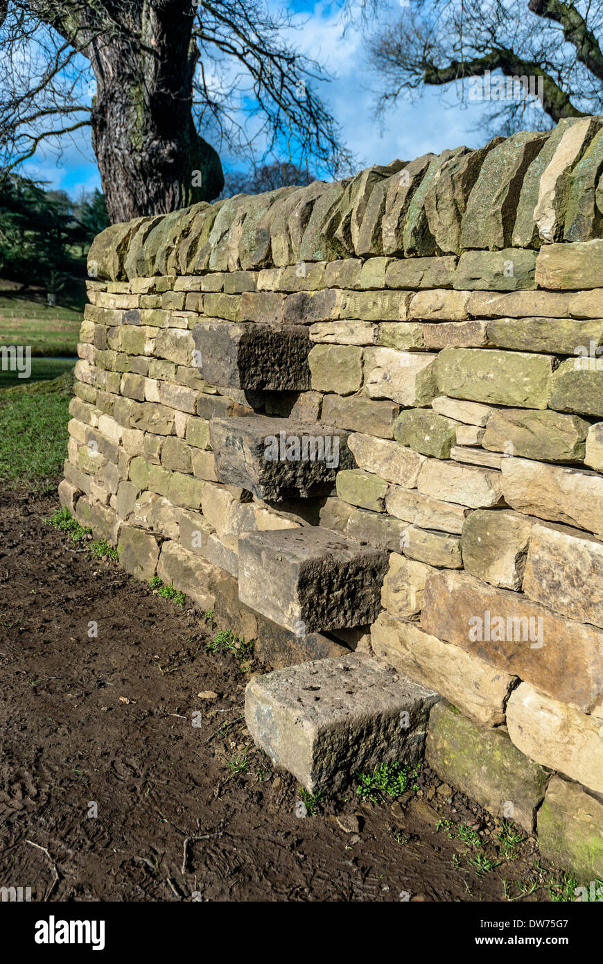Stone steps interlocked into a dry stone wall Stock Photo - Alamy