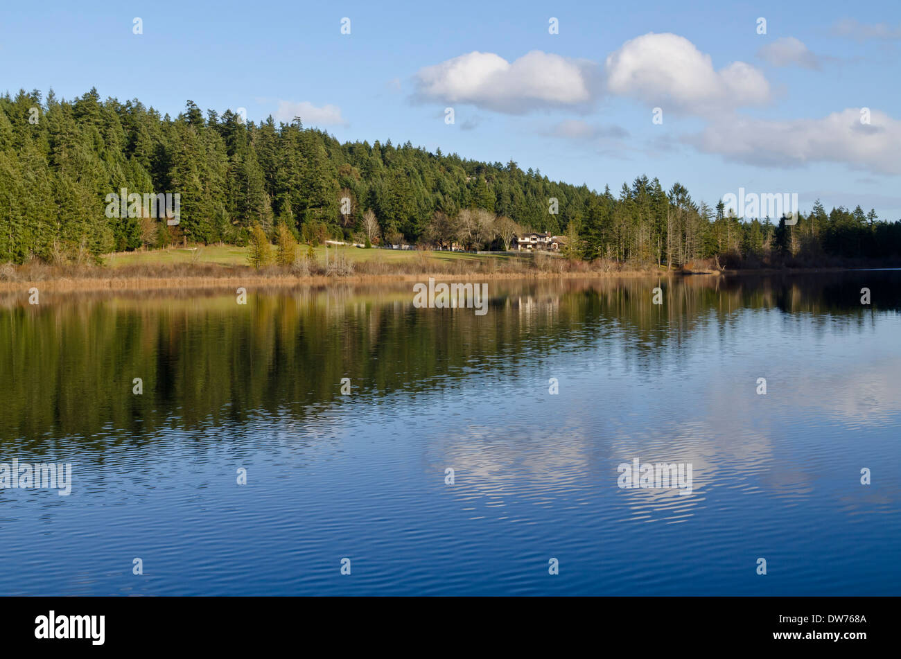 Salt spring island saltspring hi-res stock photography and images - Alamy