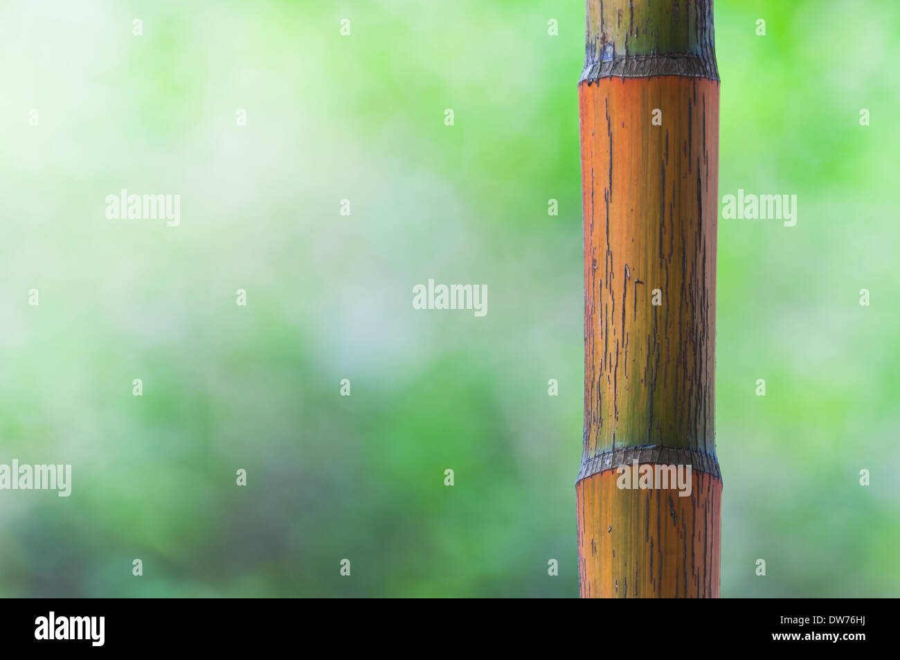 Southeast asia environment hi-res stock photography and images - Alamy