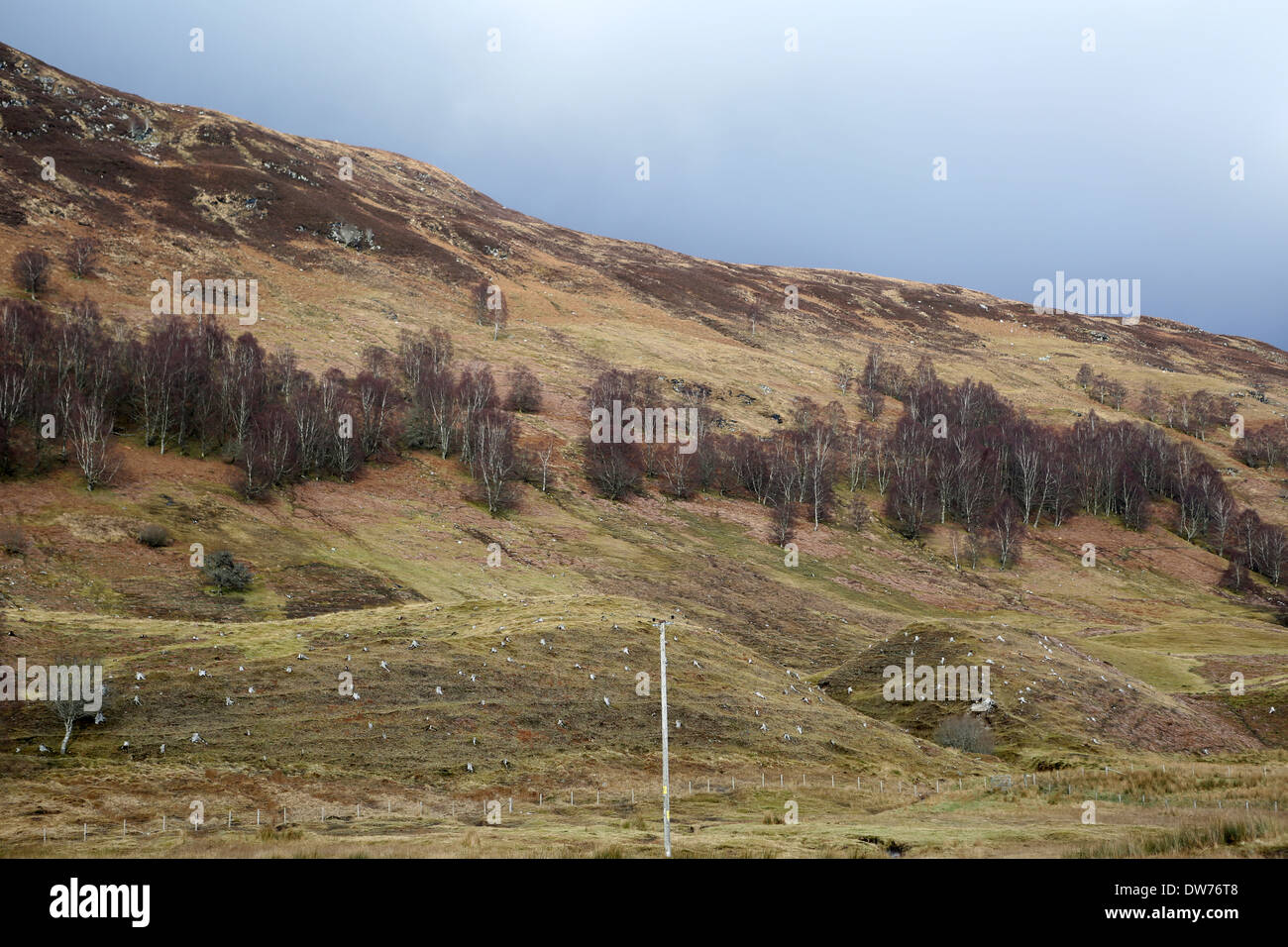 Roybridge hi-res stock photography and images - Alamy