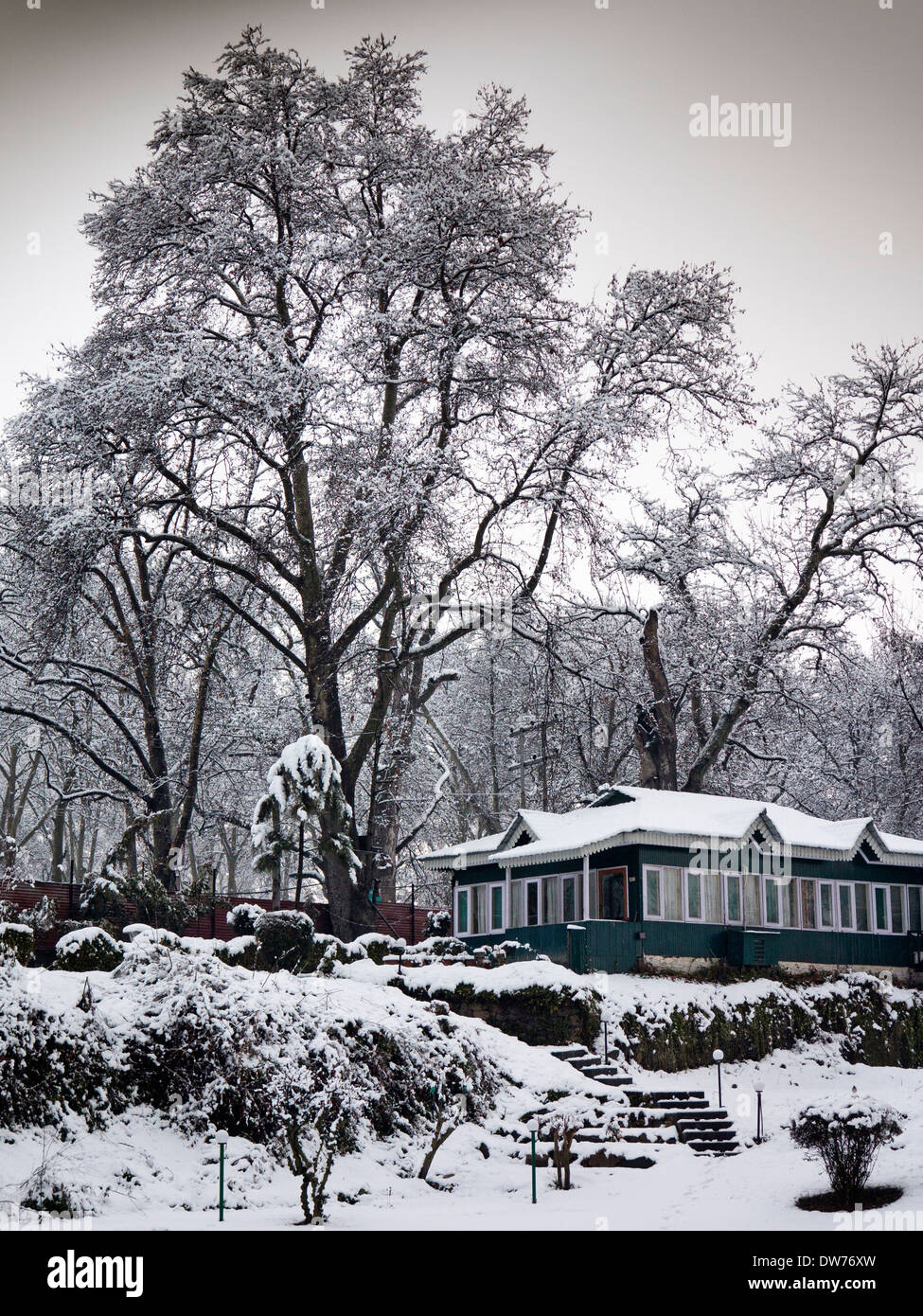 Indian in snow hi-res stock photography and images - Alamy