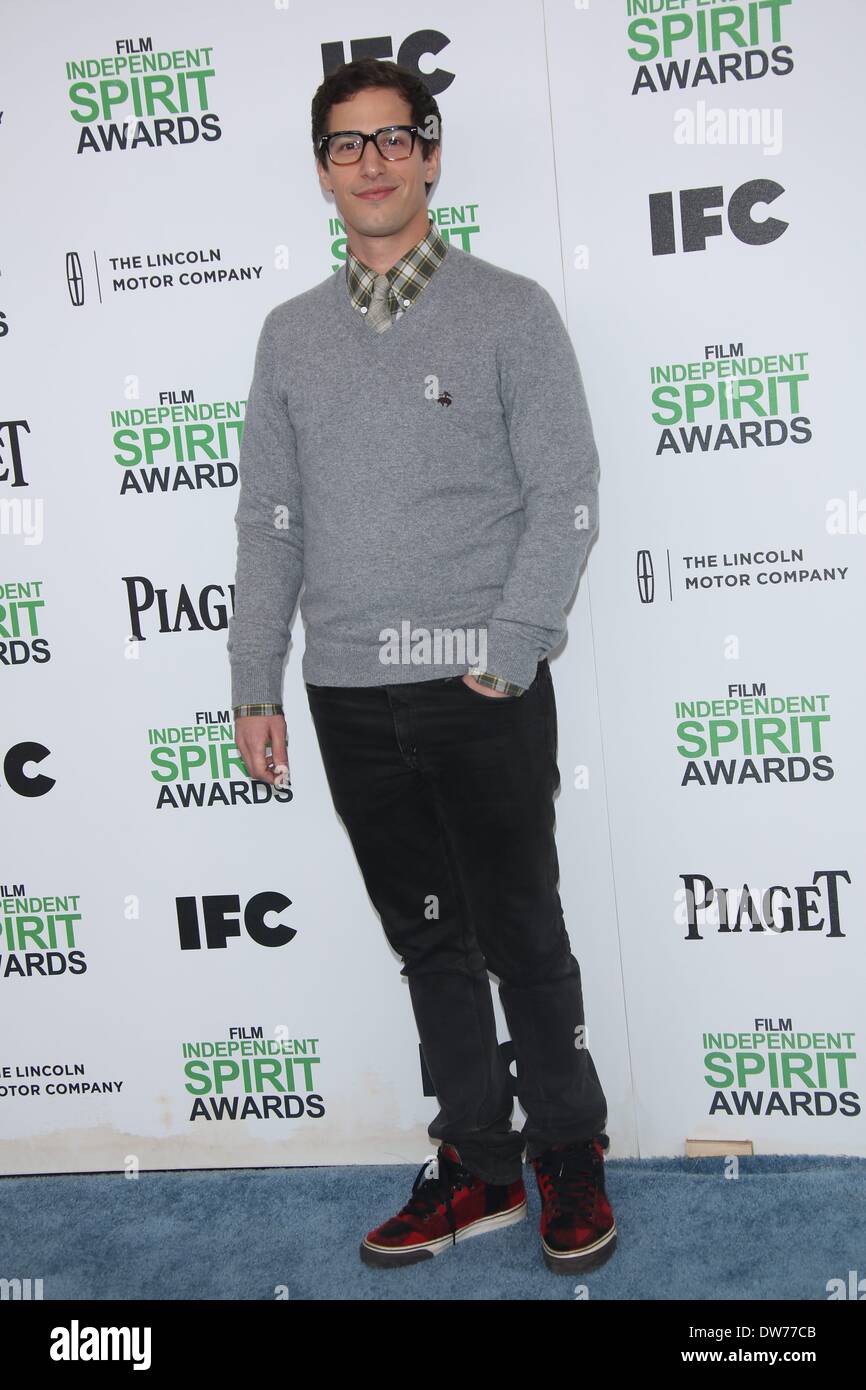 Actor Andy Samberg attends the Film Independent Spirit Awards at Santa ...