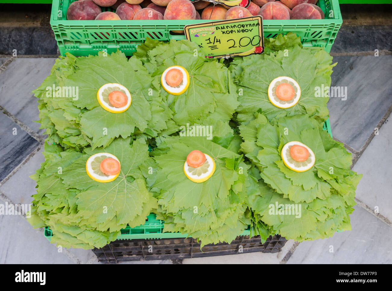Greek leaves hi-res stock photography and images - Alamy