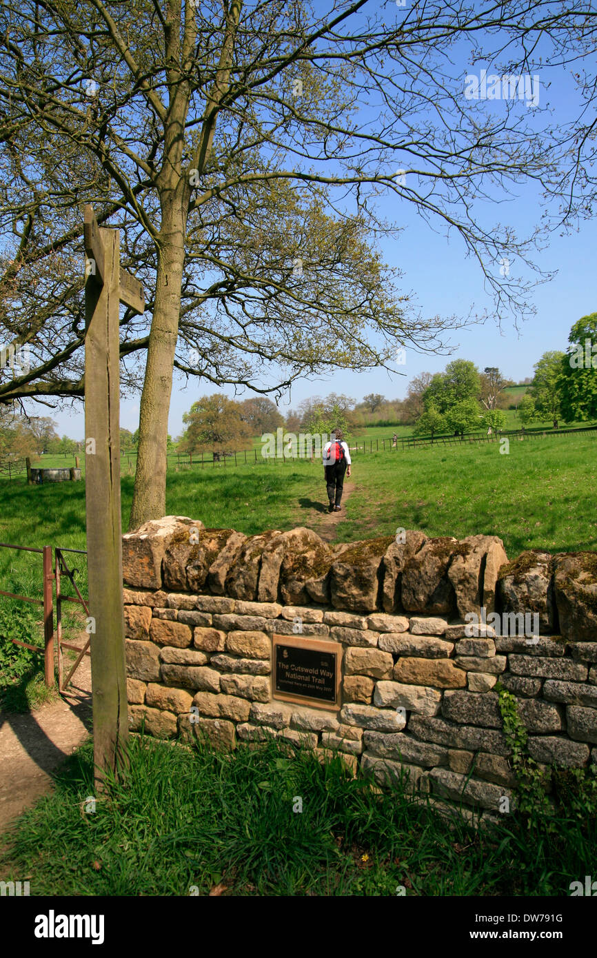 Stanway england walker hi-res stock photography and images - Alamy
