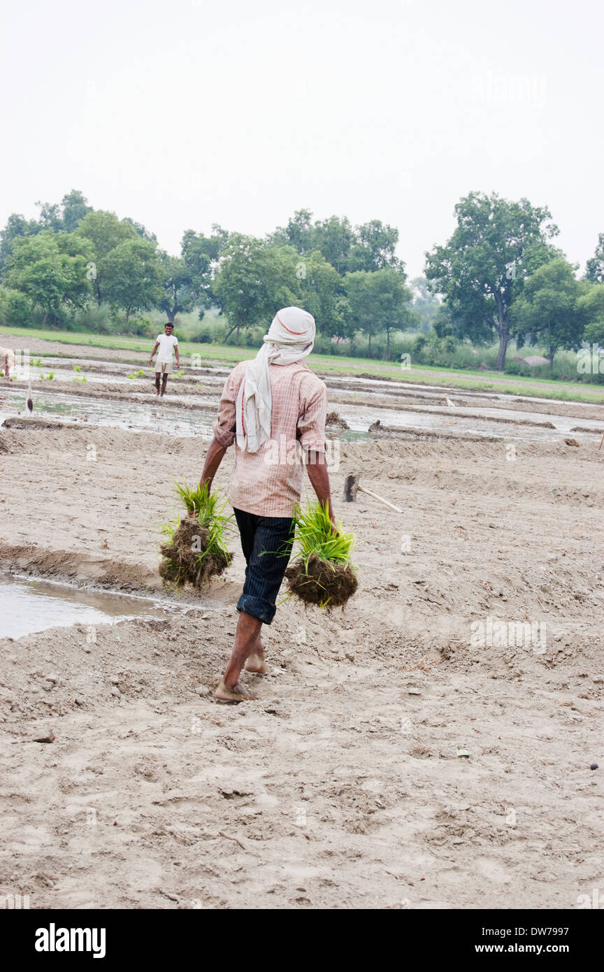 Indian Farmer Working in field Stock Photo - Alamy