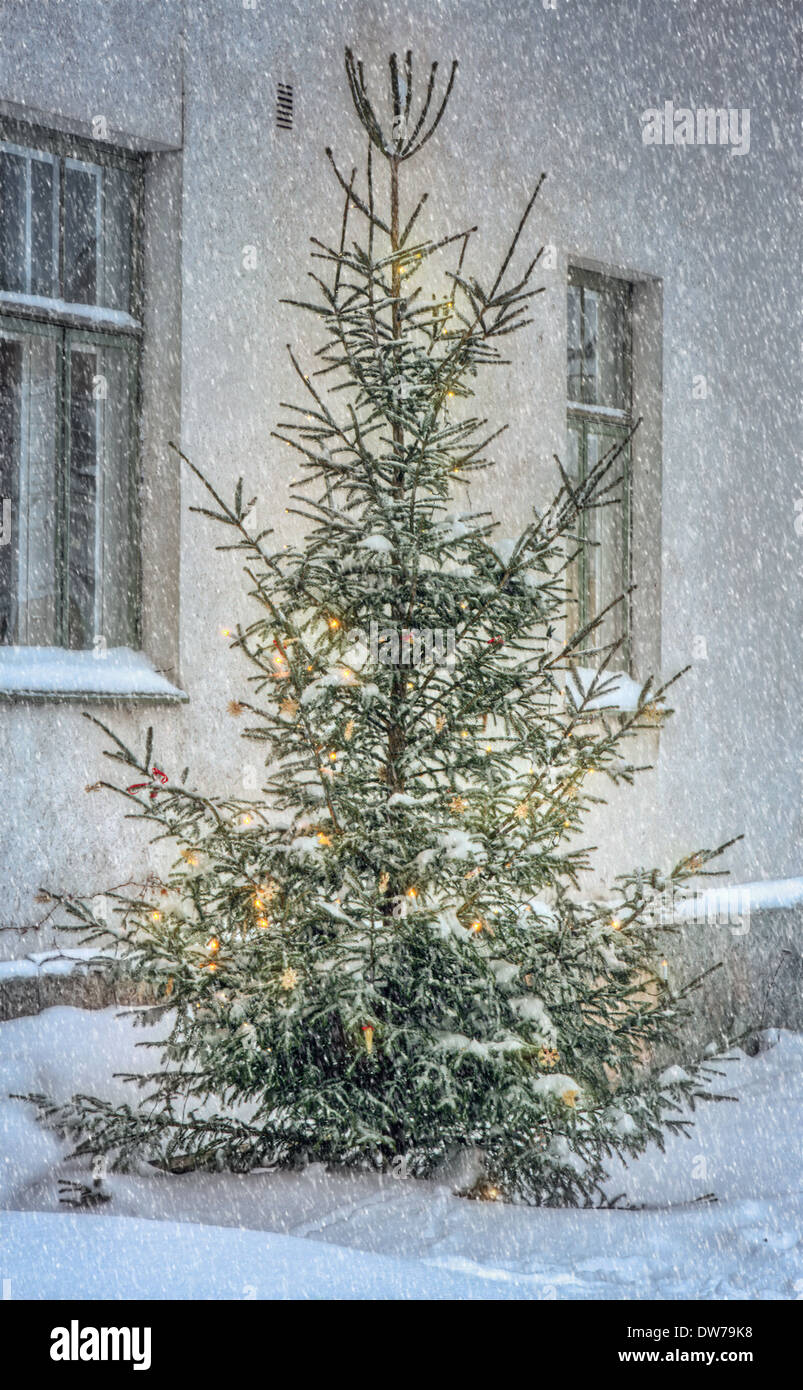Christmas tree outside in snowy garden with snowfall Stock Photo - Alamy