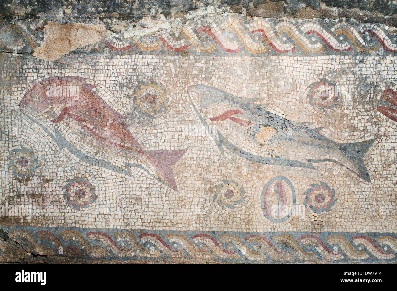 Roman mosaic fish hi-res stock photography and images - Alamy