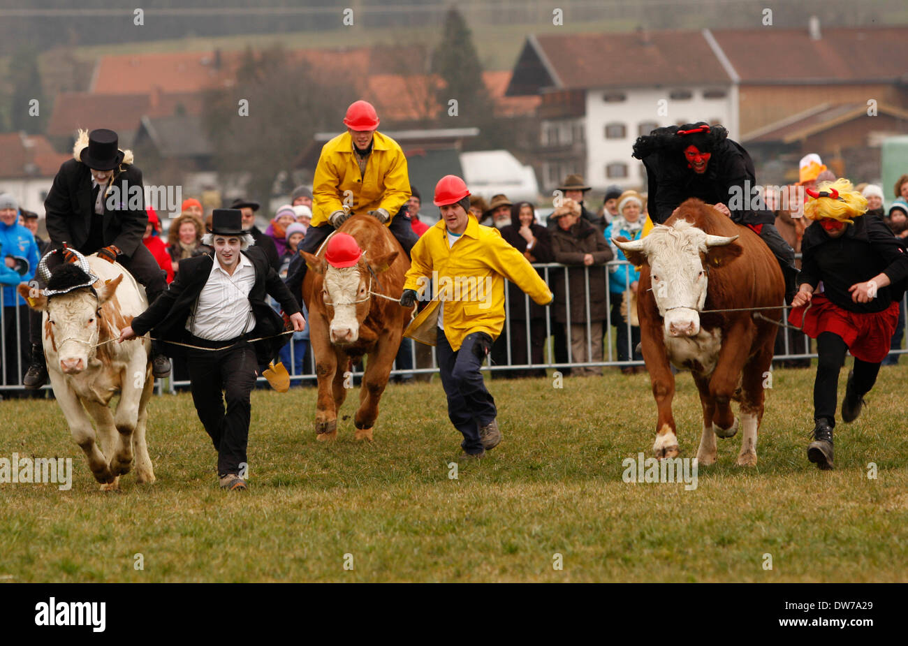 Masked riders and drovers lead their oxes to the race track in Rottau ...