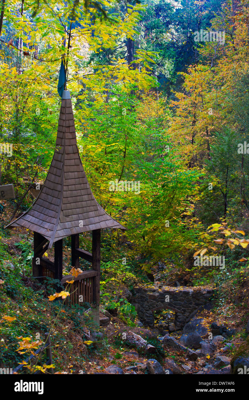 Fall colors in Bullwinkle Ravine near Nevada City, California Stock ...