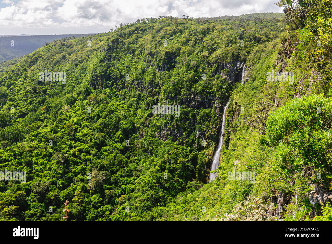 Alexandra mauritius hi-res stock photography and images - Alamy