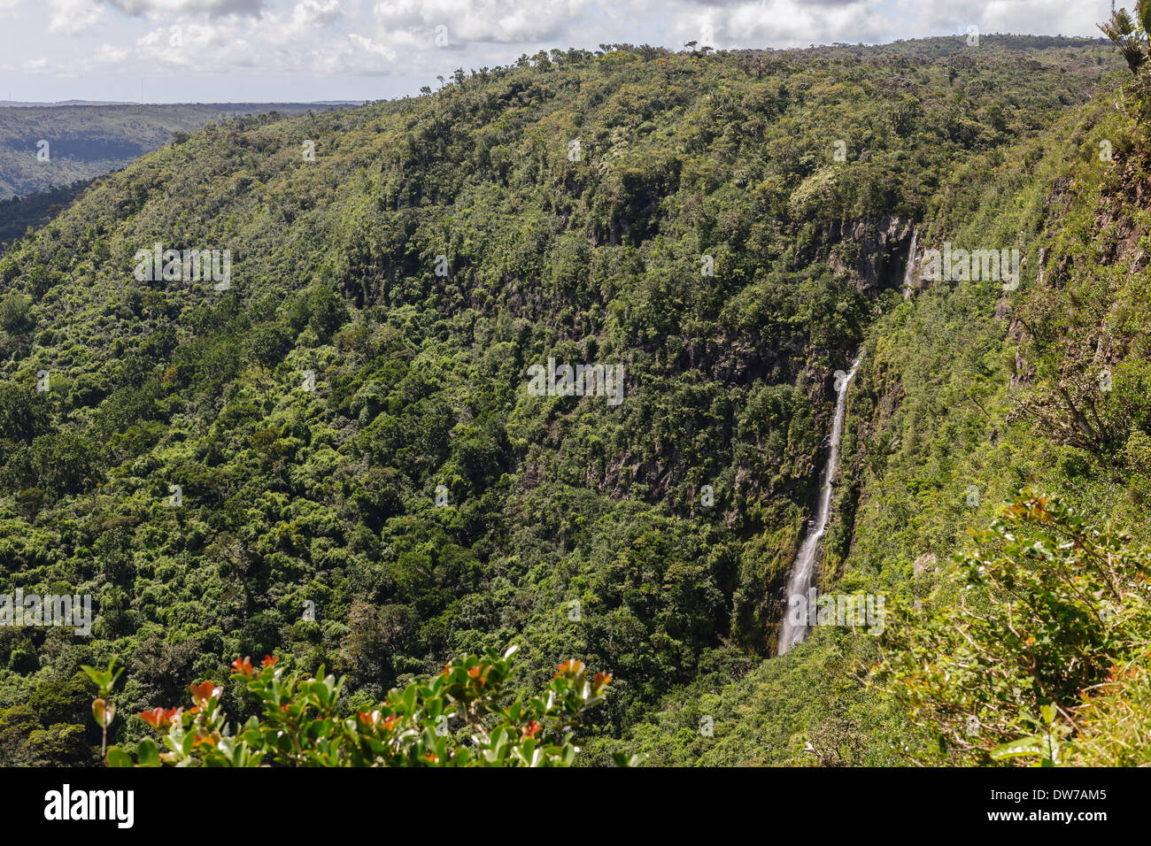 Black river gorges national park hi-res stock photography and images ...