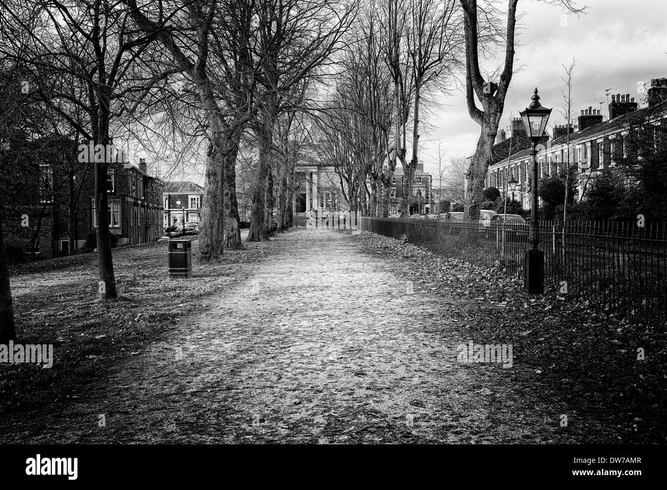 Tree avenue england Black and White Stock Photos & Images - Alamy
