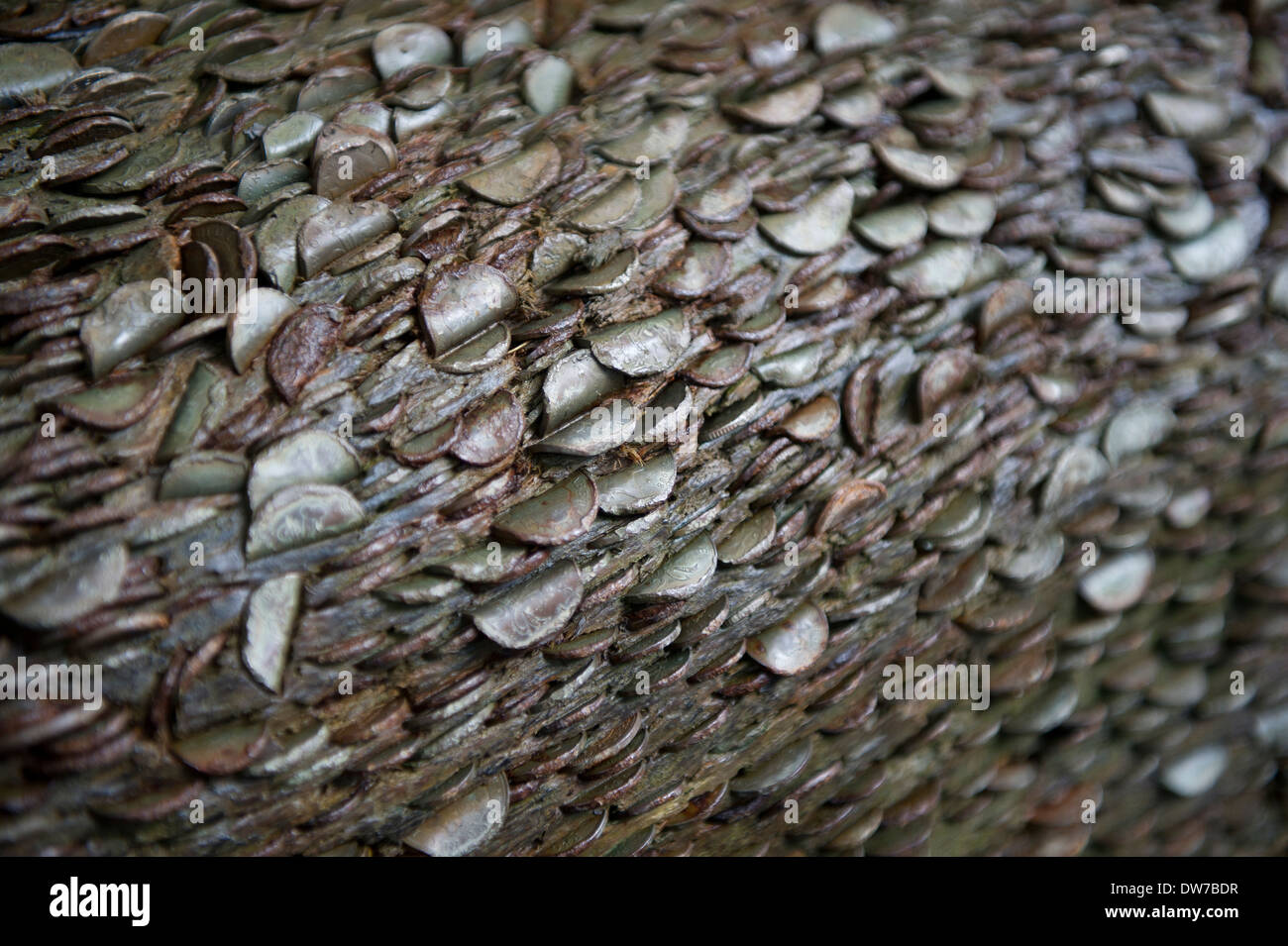 Fellen tree hi-res stock photography and images - Alamy