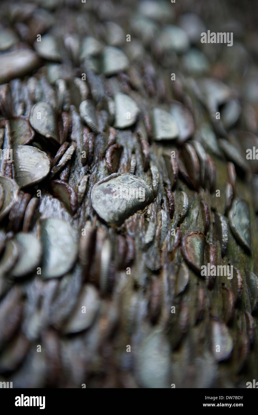 Fellen tree hi-res stock photography and images - Alamy