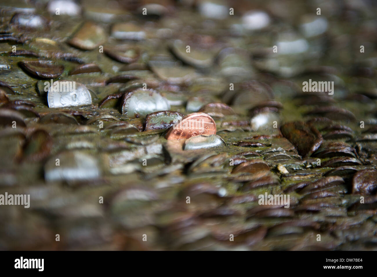 Fellen tree hi-res stock photography and images - Alamy