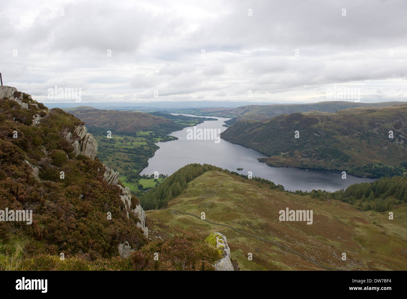 Fellen tree hi-res stock photography and images - Alamy