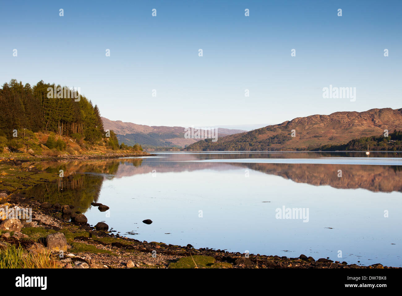Loch Sunart in the highlands of Scotland Stock Photo - Alamy