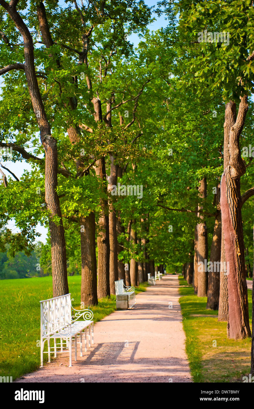 Number benches in park hi-res stock photography and images - Alamy