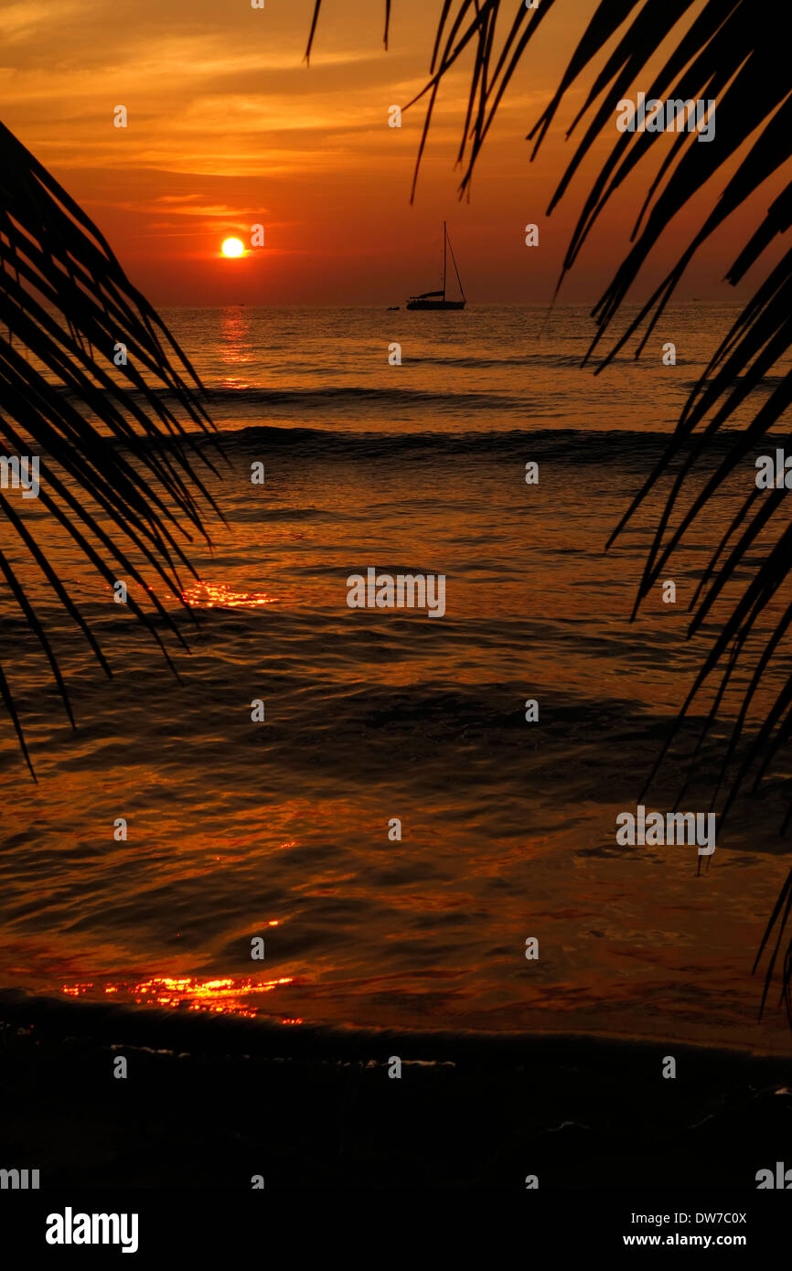 Palm fronds, sailboat and sunset, Klong Chao Beach, Koh Kood, Thailand ... Palm fronds, sailboat and sunset, Klong Chao Beach, Koh Kood, Thailand ...