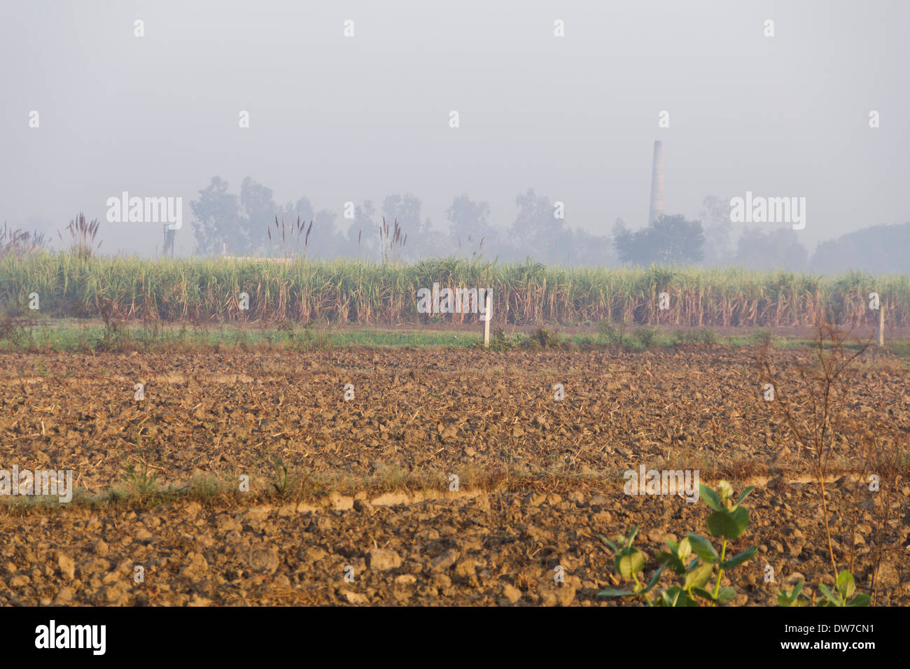 Agricultural ploughed land field Stock Photo - Alamy