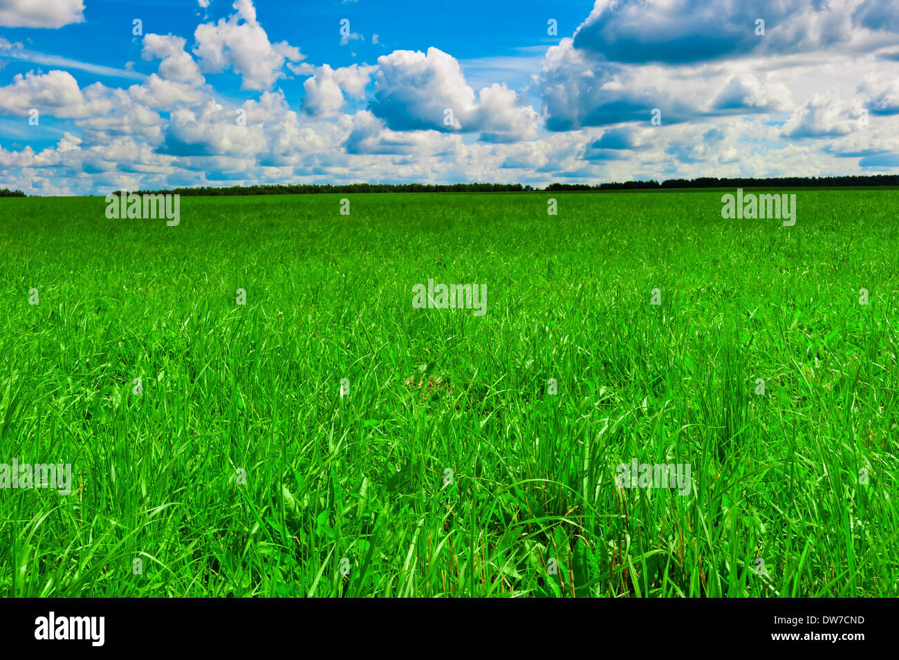 Beauty nice weather hi-res stock photography and images - Alamy