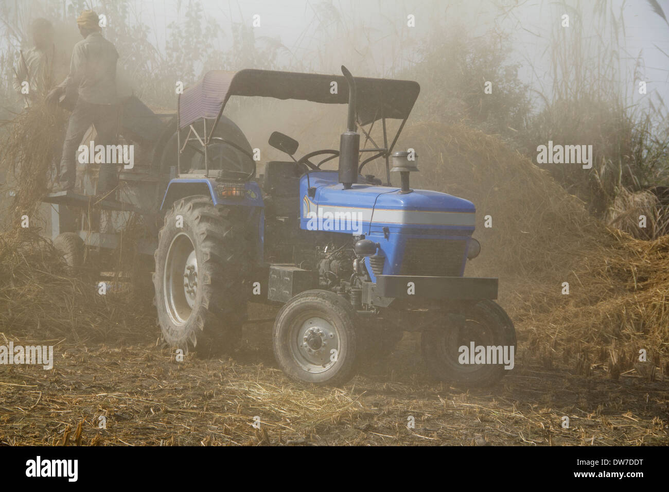 Thresher working in crop field Stock Photo - Alamy