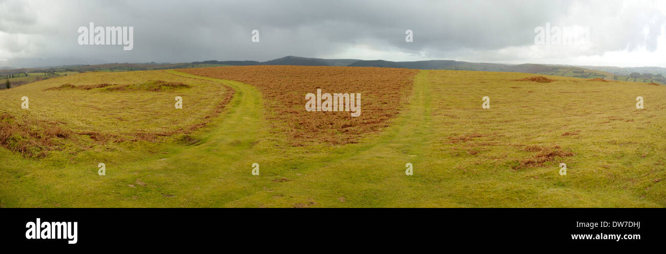 Brechfa hi-res stock photography and images - Alamy